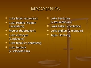 Luka | PPT