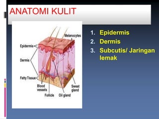 KONSEP DASAR LUKA DAN PENANGANANNYA, PROSES PENYEMBUHAN | PPT