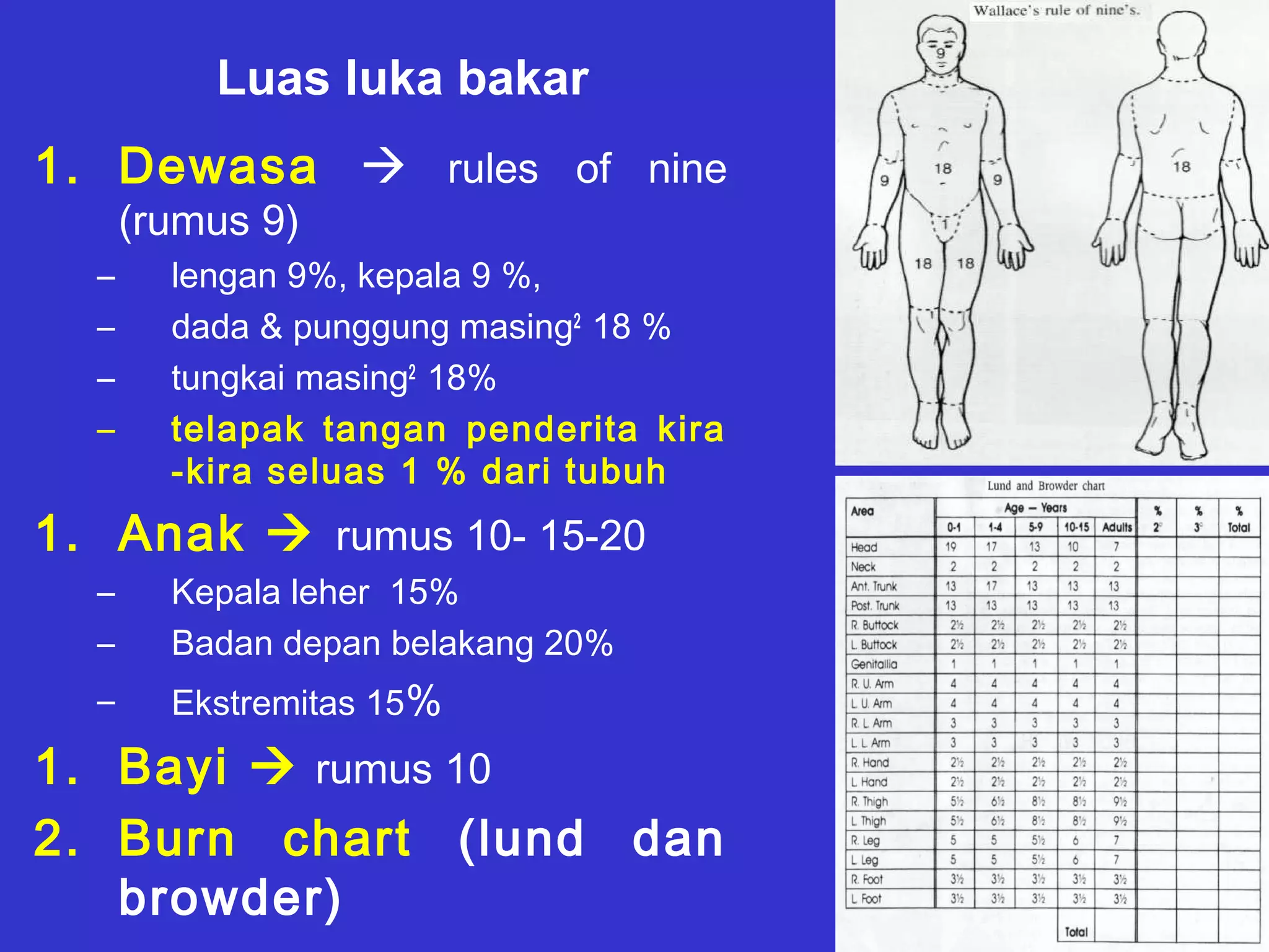 Luka bakar | PPT