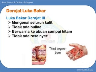Luka Bakar | PDF