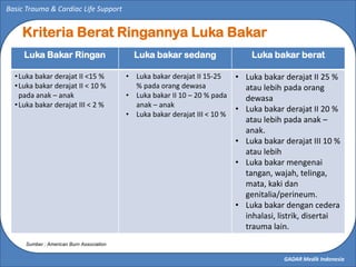 Luka Bakar | PDF