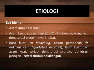 Luka Bakar (Combustio) dan Penanganan Pertama .pptx