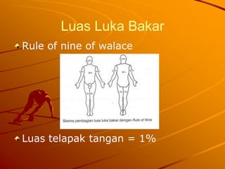 Manajemen Luka Bakar | PDF