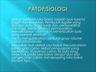 Luka bakar sunscreens | PPT