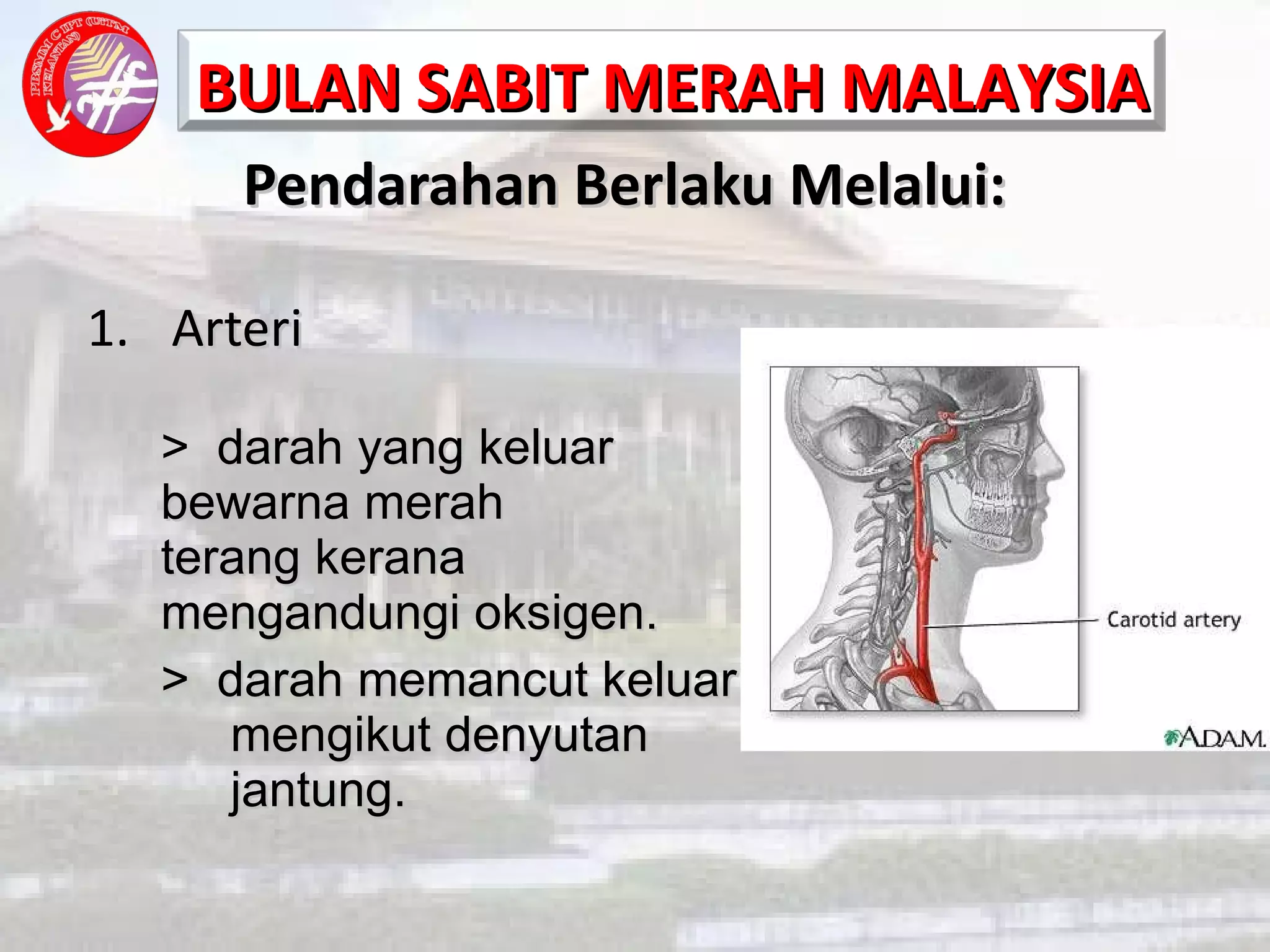 Luka dan pendarahan | PPT