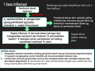 LUKA DAN WOUND HEALING SERTA FAKTOR YANG MEMPENGARUHI PENYEMBUHAN LUKA.pptx