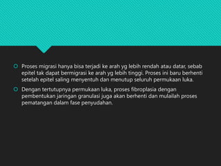 LUKA DAN WOUND HEALING SERTA FAKTOR YANG MEMPENGARUHI PENYEMBUHAN LUKA.pptx