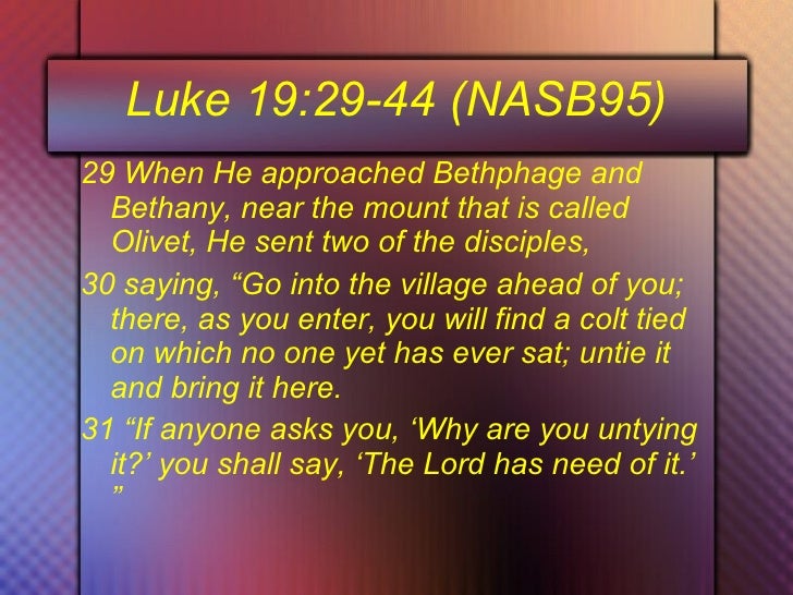 Luke 19 29 44 Follow Him All The Way