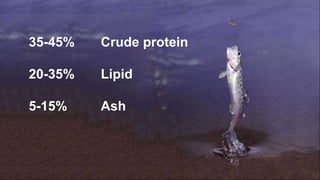 Black soldier fly meal in feed for Atlantic salmon - Erik-Jan Lock ...