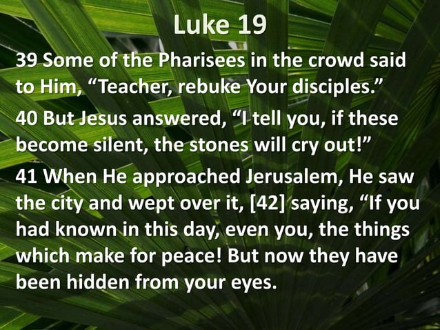 Luke 19, 28 43 palm-sunday | PPT