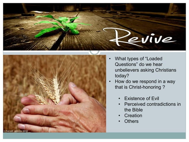 Luke 6 jesus lord of the sabbath | PPTX