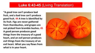 Luke6 43 45persimmons-orange | PPT