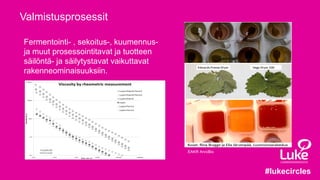 Luke Circles 2.10.2019 – Anne Pihlanto | PPT