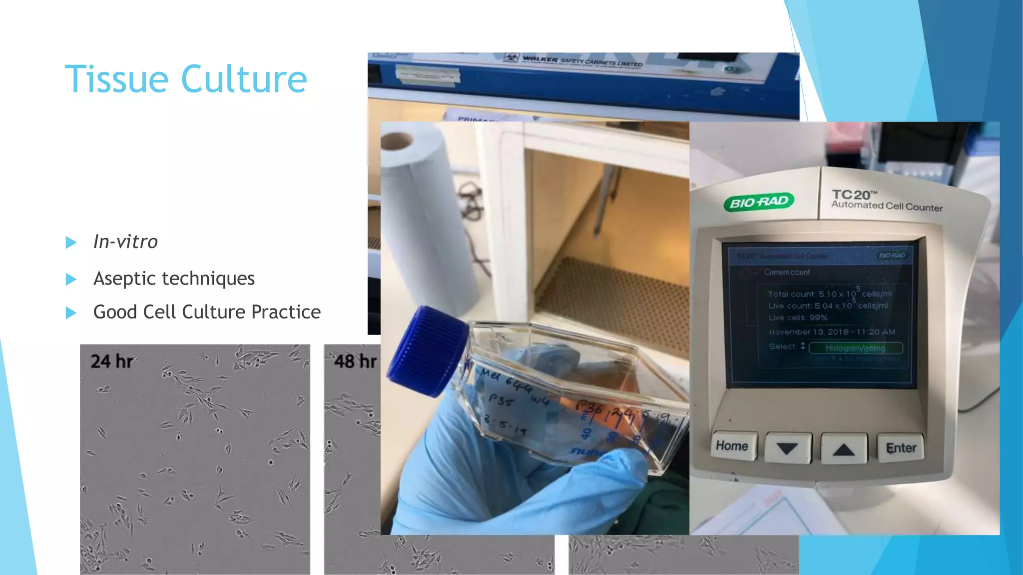 Luke Lomas Work Placement Presentation | PPT