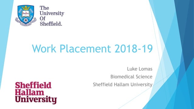 Luke Lomas Work Placement Presentation | PPT