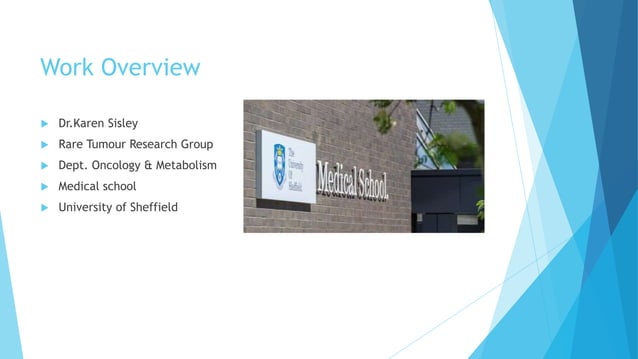 Luke Lomas Work Placement Presentation | PPT