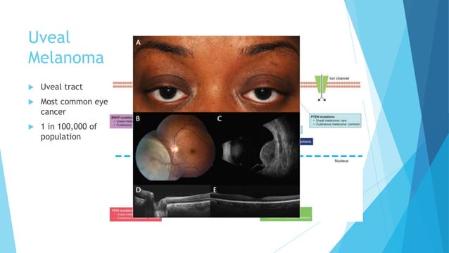 Luke Lomas Work Placement Presentation | PPT