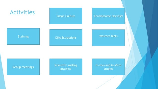 Luke Lomas Work Placement Presentation | PPT