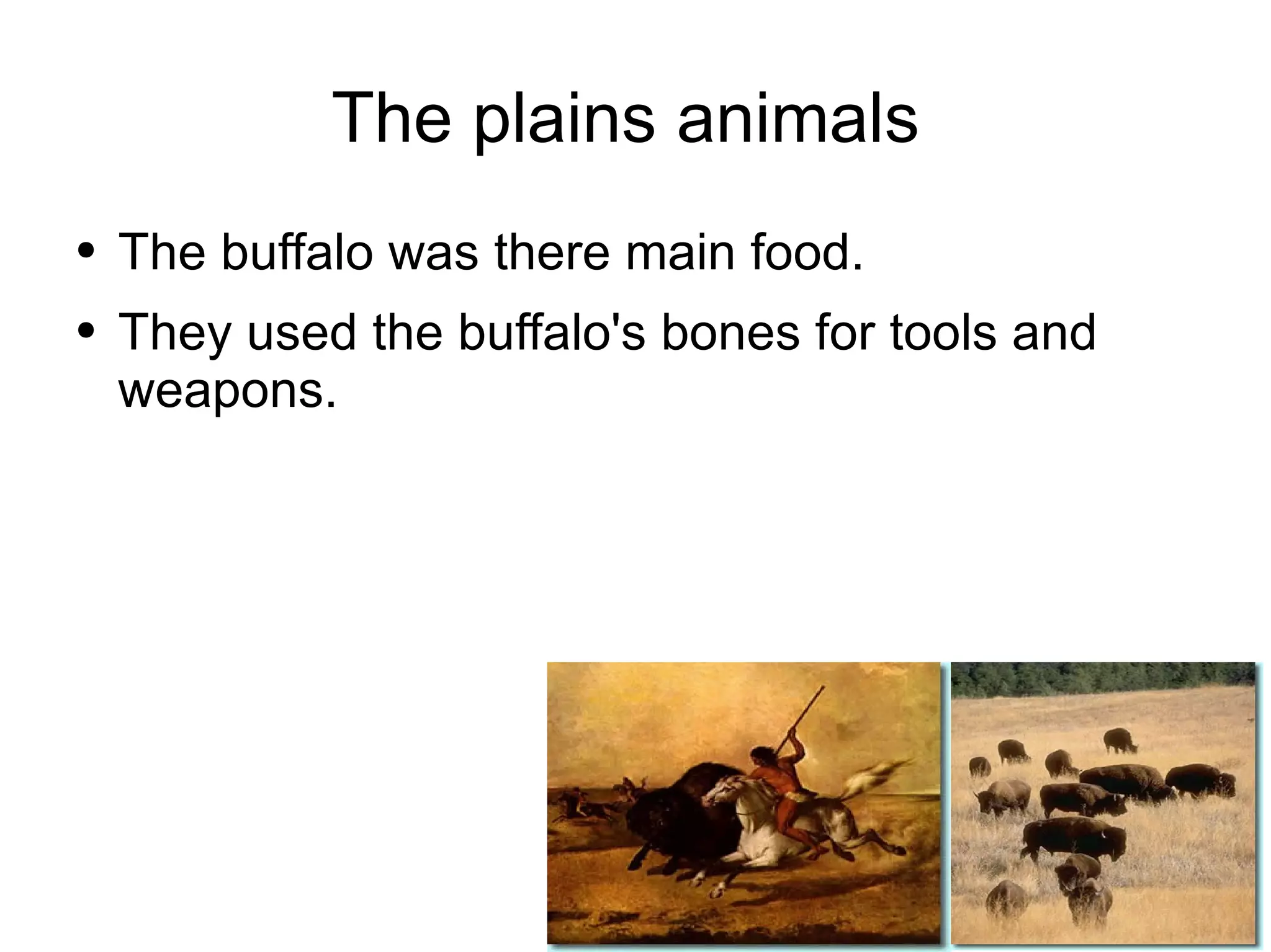 Luke nelson | PPT | Free Download