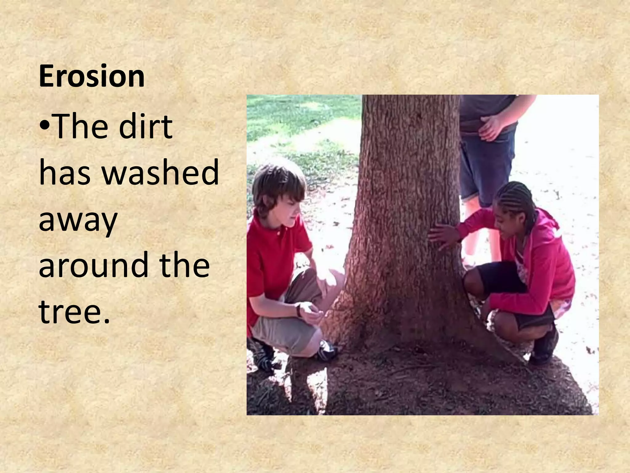 Luke zack jared sceince | PPT