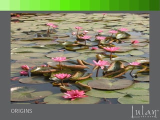 Beautiful Textiles from Lulan Artisans | PDF | Needlework | Arts and Crafts