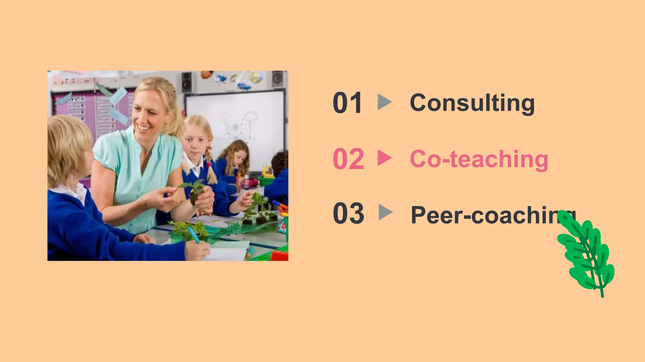 Role of the Special Education Teacher in an Inclusive SchoolREPORT Prof ...