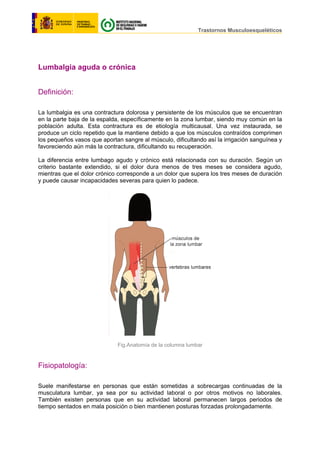 Lumbalgia | PDF