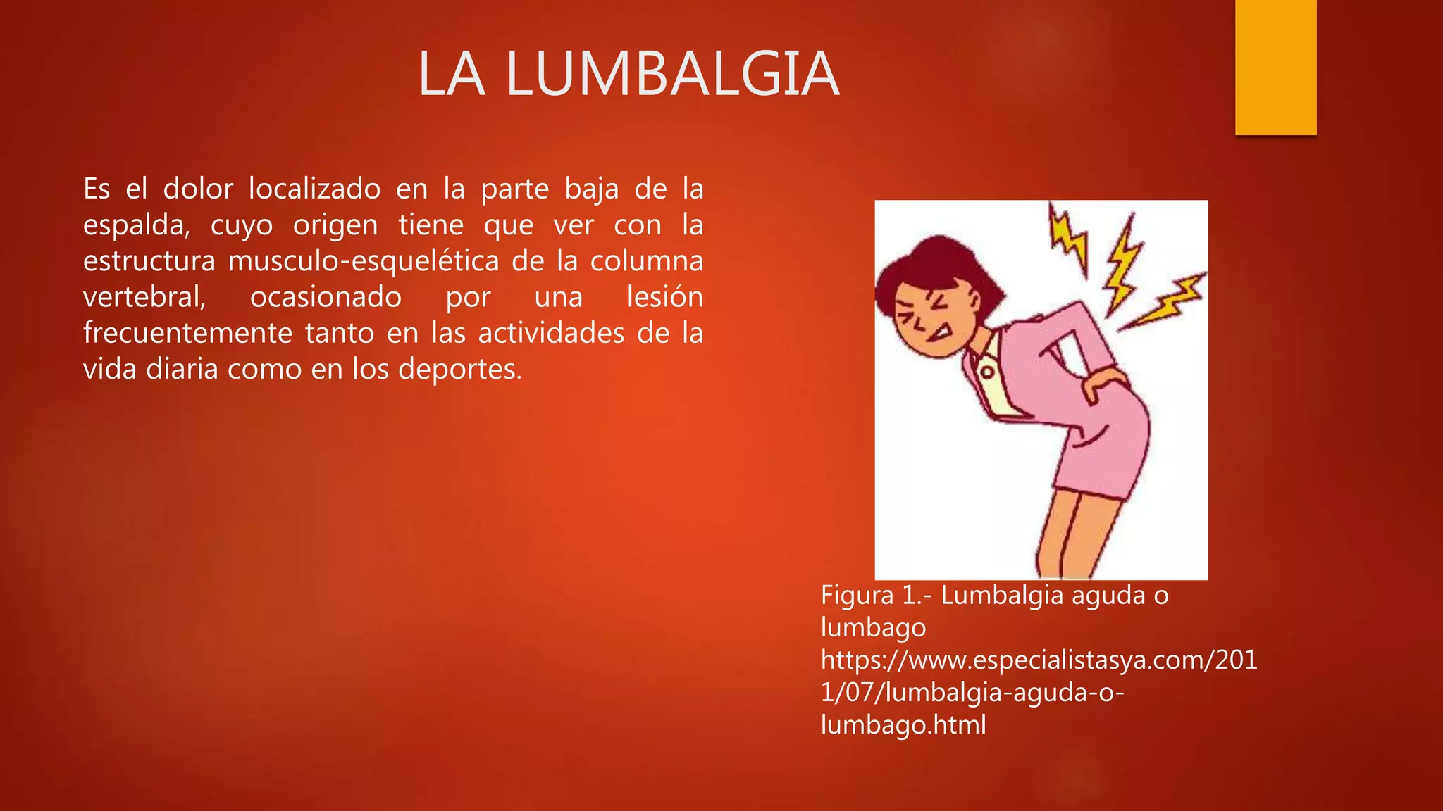 Lumbalgia | PPTX | Physical Therapy | Wellness