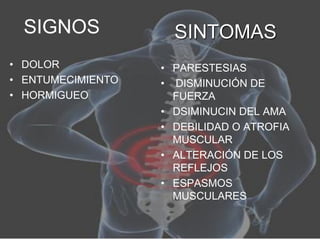 LUMBALGIA.pdf