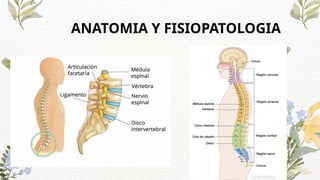 LUMBALGIA, clasificacion signos y sintmas | PPTX