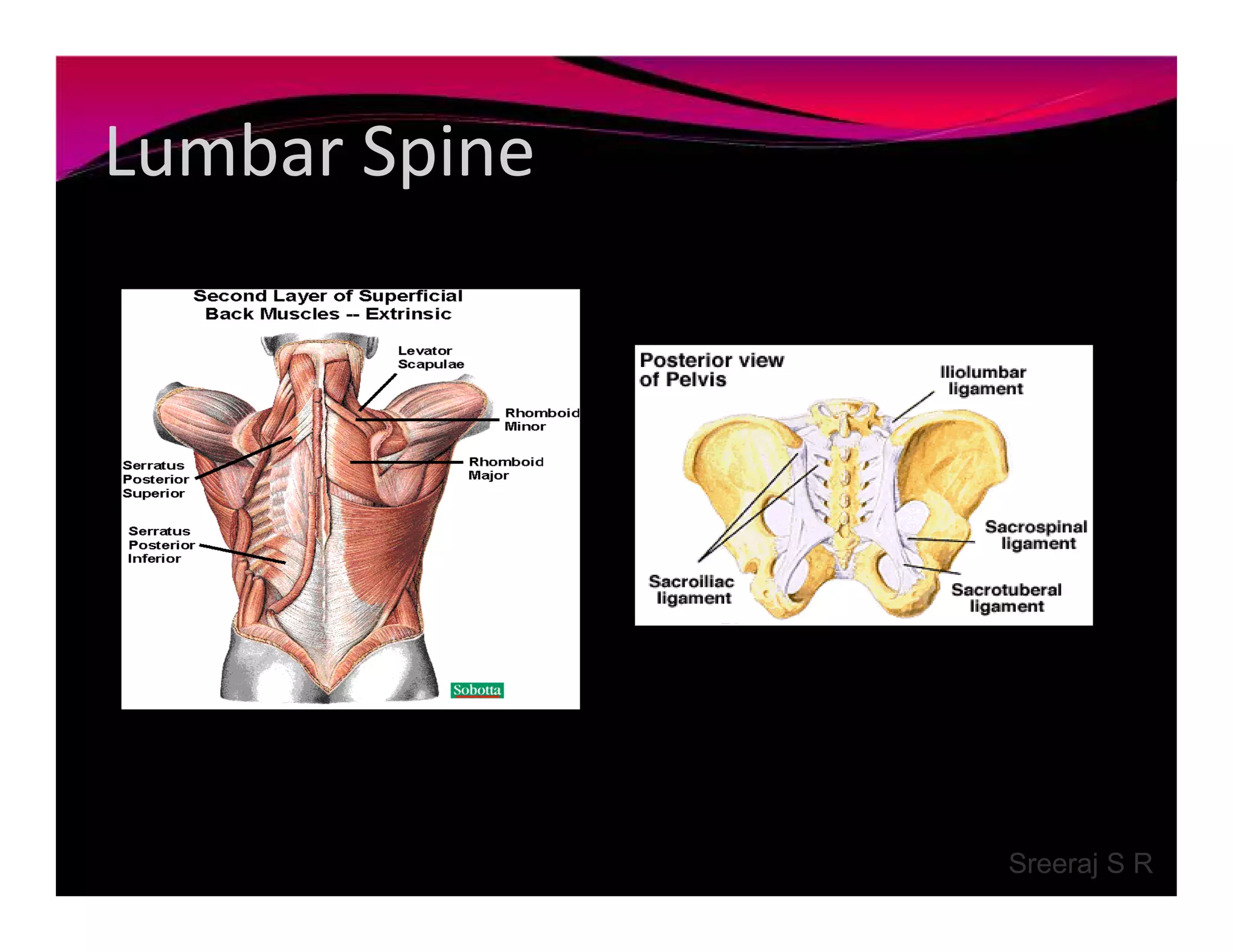Lumbar and sacral Biomechanics | PDF