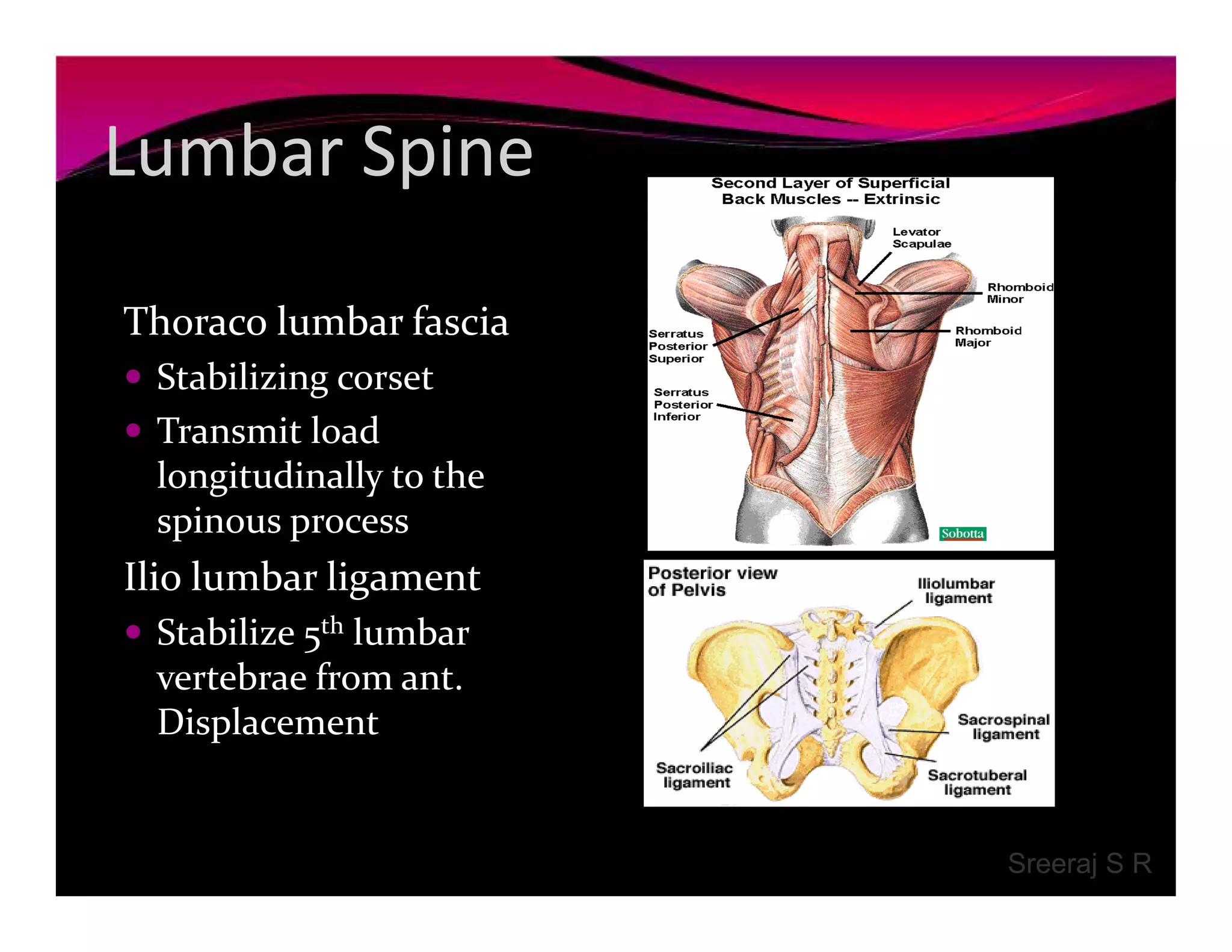 Lumbar and sacral Biomechanics | PDF