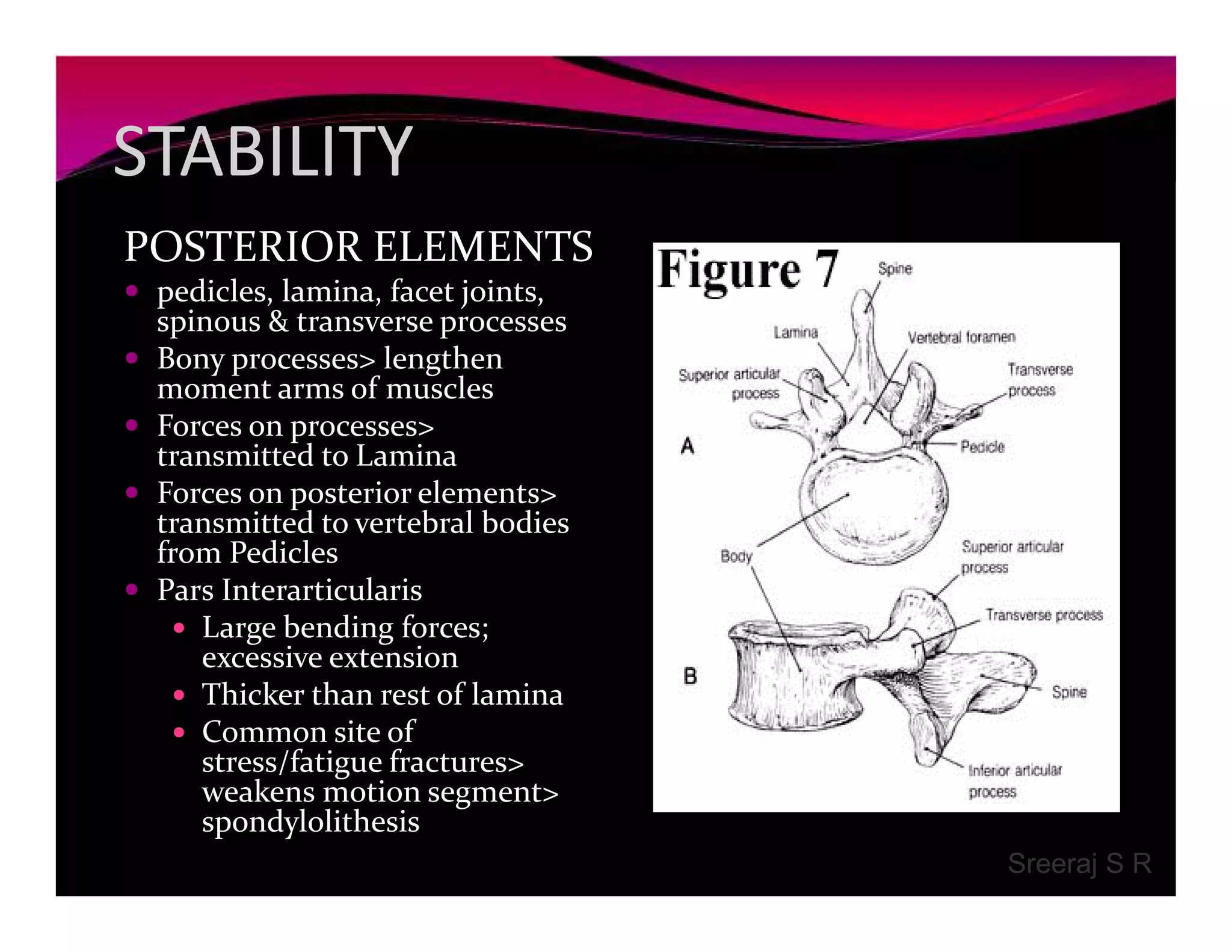 Lumbar and sacral Biomechanics | PDF