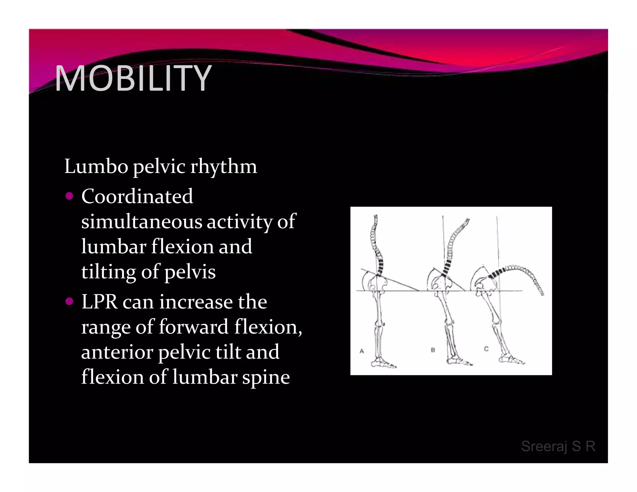 Lumbar and sacral Biomechanics | PDF