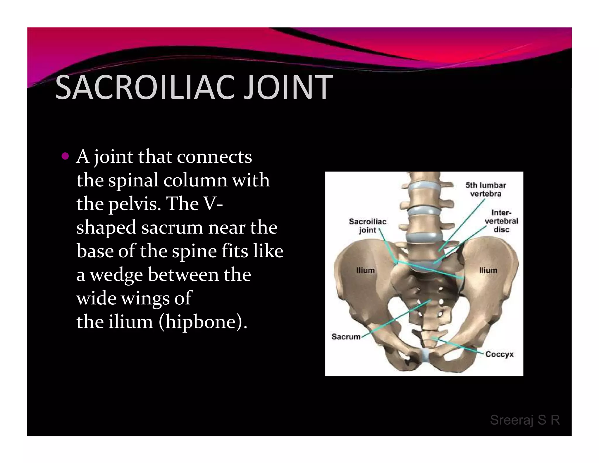 Lumbar and sacral Biomechanics | PDF