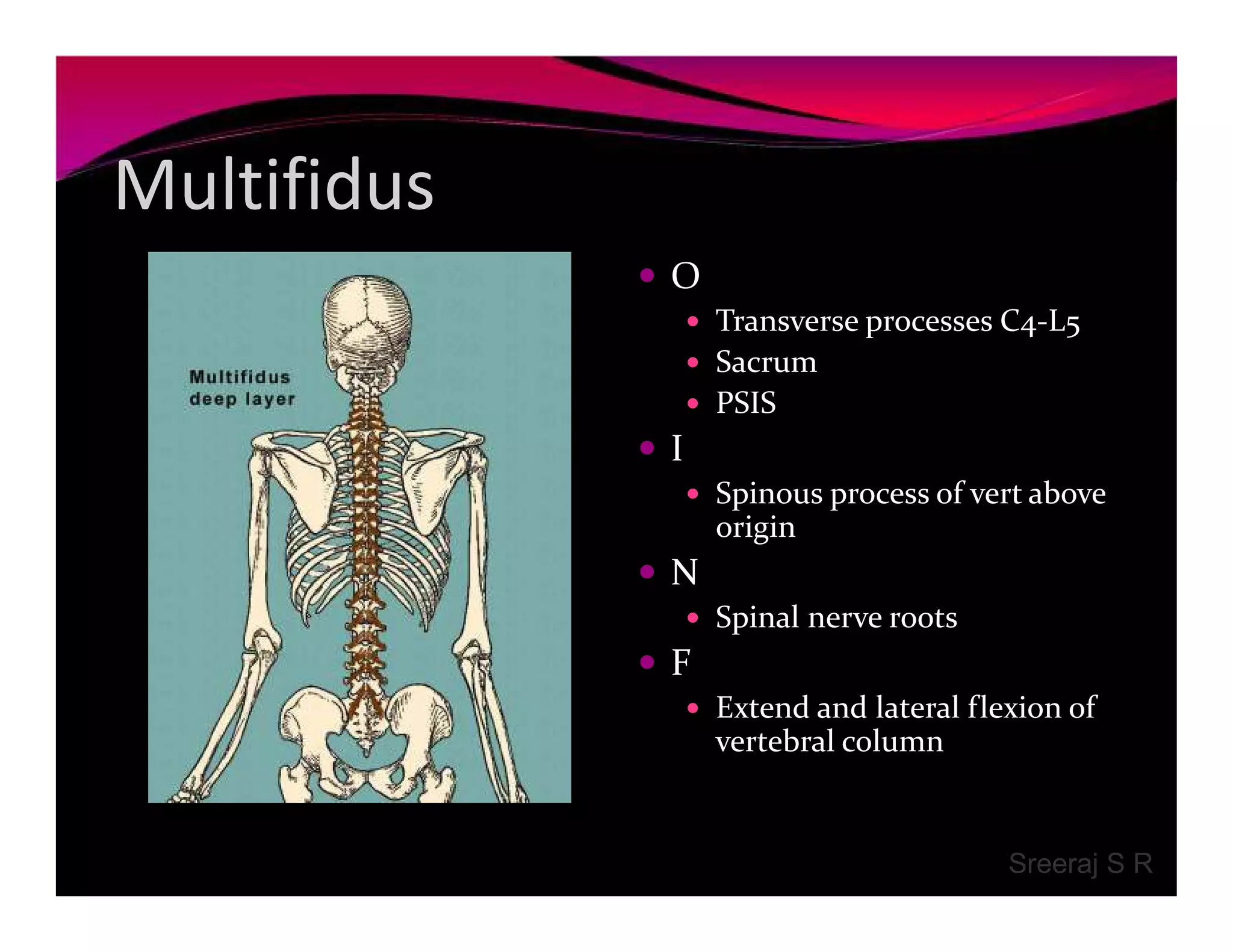 Lumbar and sacral Biomechanics | PDF