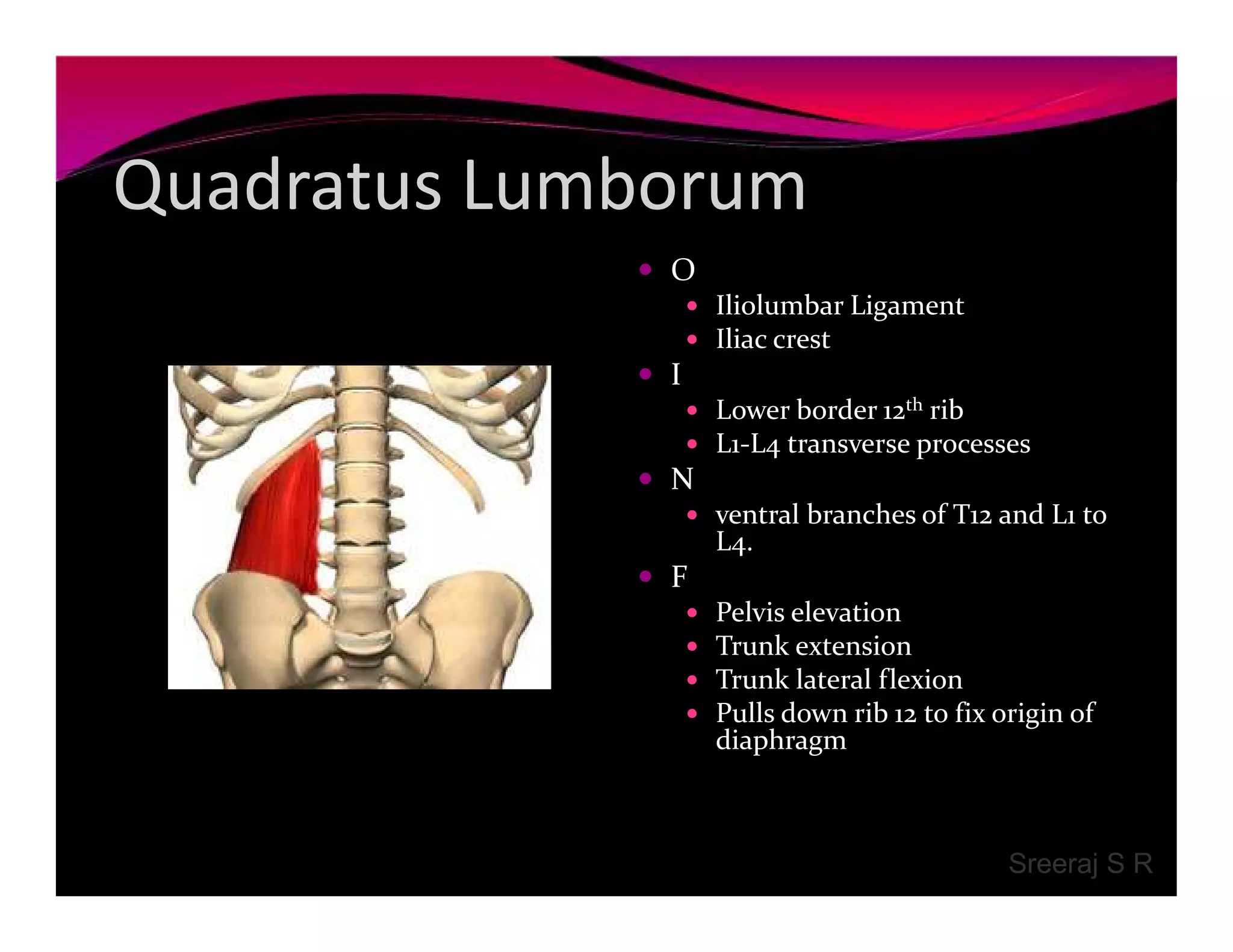 Lumbar and sacral Biomechanics | PDF