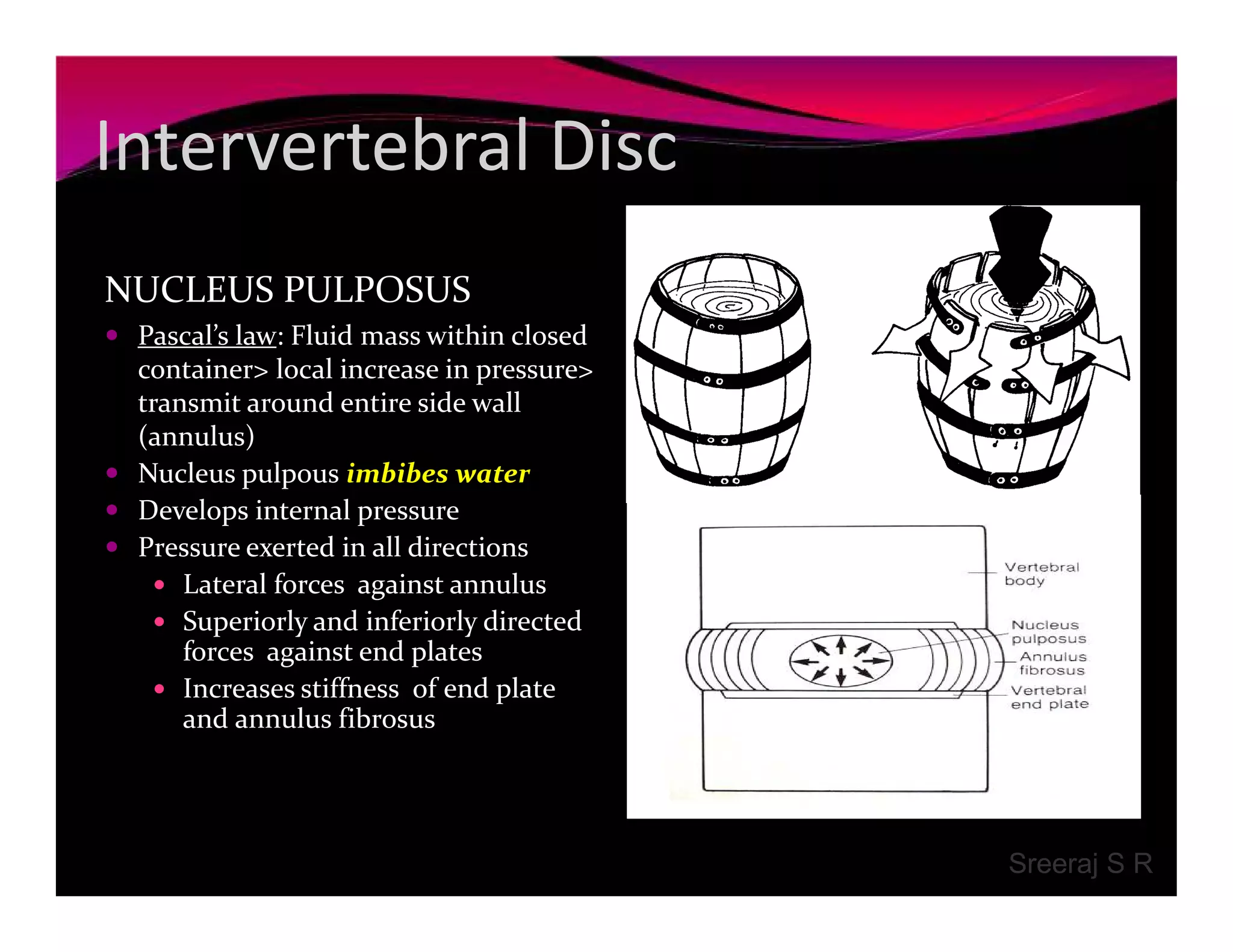 Lumbar and sacral Biomechanics | PDF