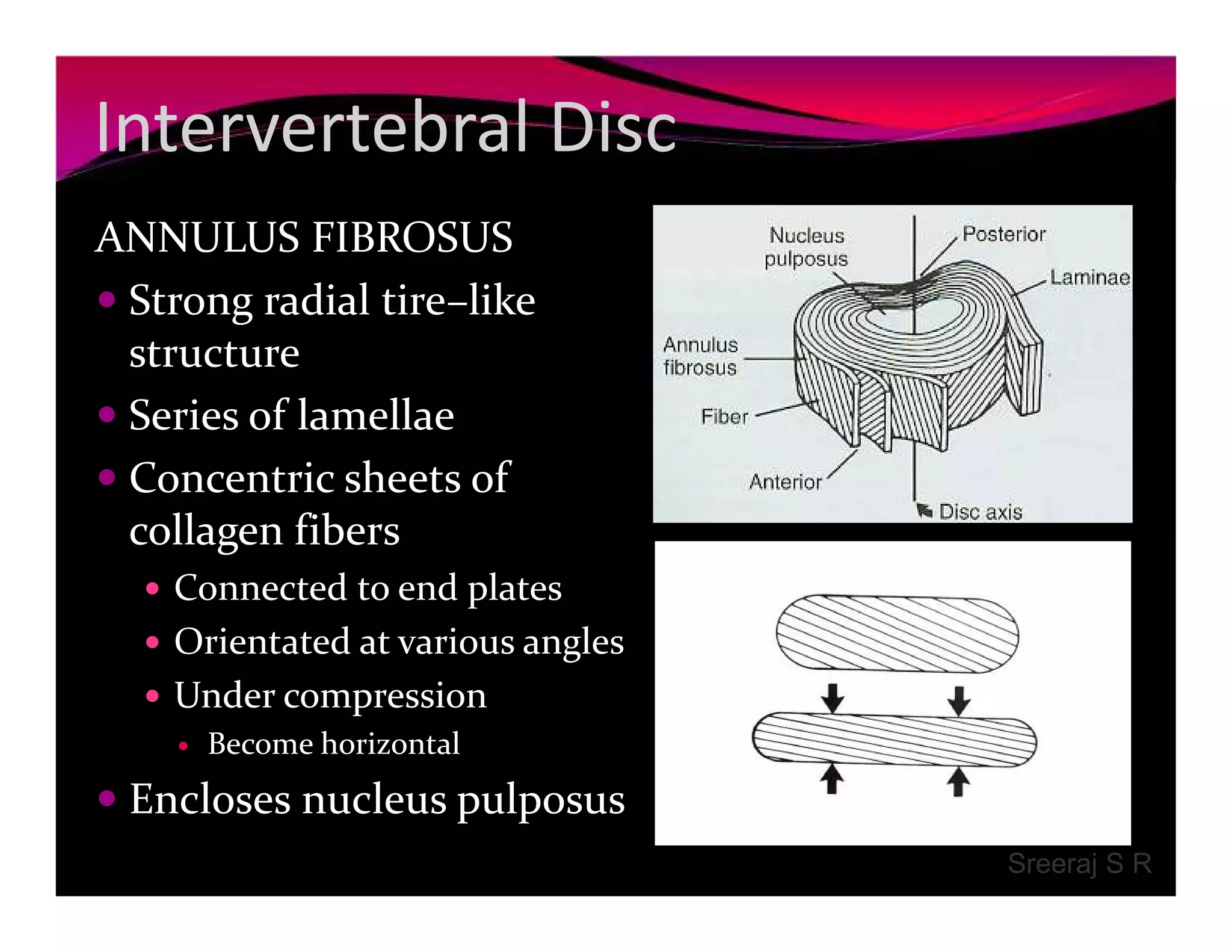 Lumbar and sacral Biomechanics | PDF