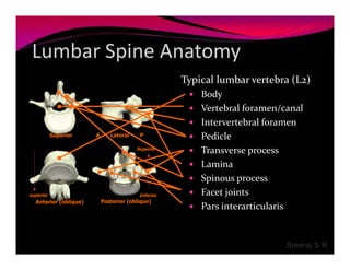Lumbar and sacral Biomechanics | PDF