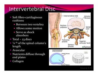 Lumbar and sacral Biomechanics | PDF