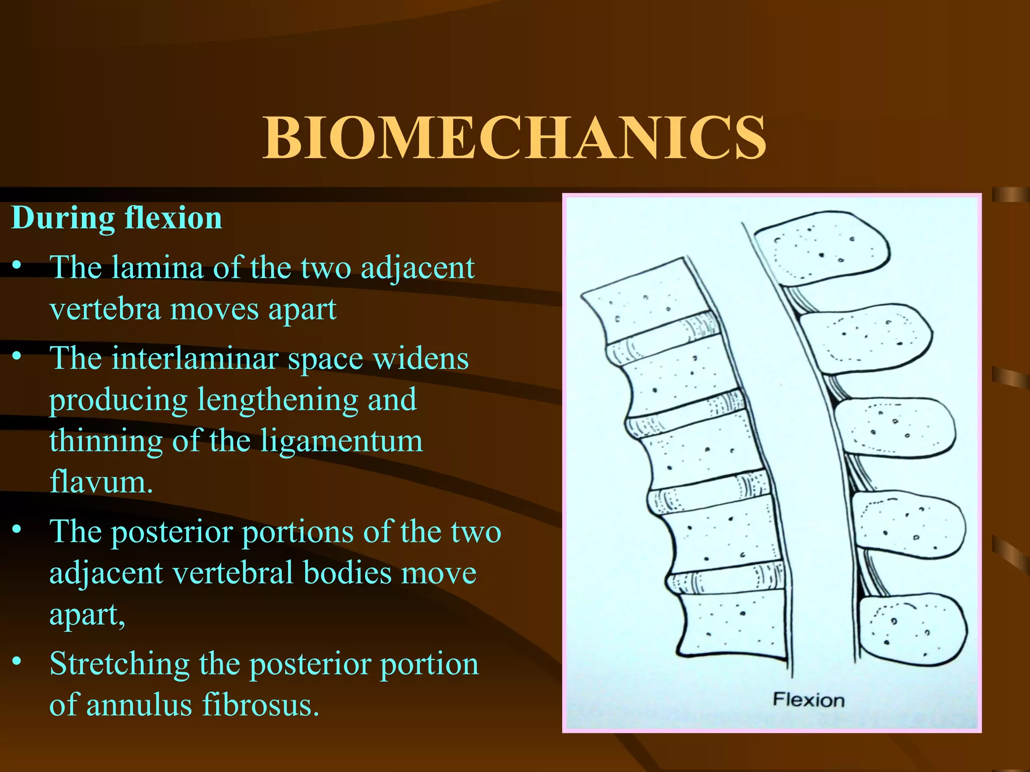 Lumbar canal stenosis | PPT