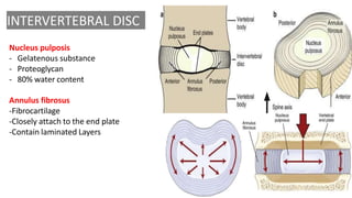 LUMBAR DISC DIEASE 1.3.pptx