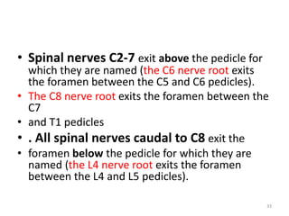 LUMBAR DISC HERNIATION CAMPBELLS ORTHOPEDIC | PPTX
