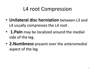 LUMBAR DISC HERNIATION CAMPBELLS ORTHOPEDIC | PPTX