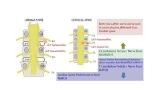 LUMBAR DISC HERNIATION.pptx