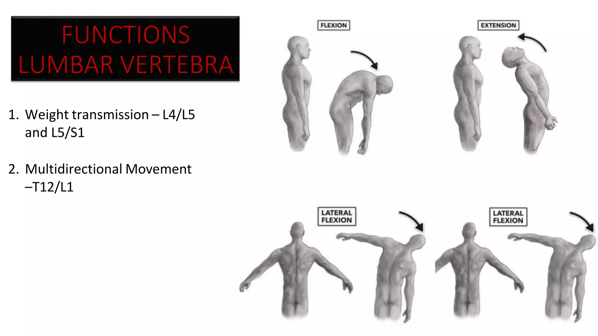 LUMBAR DISC HERNIATION.pptx