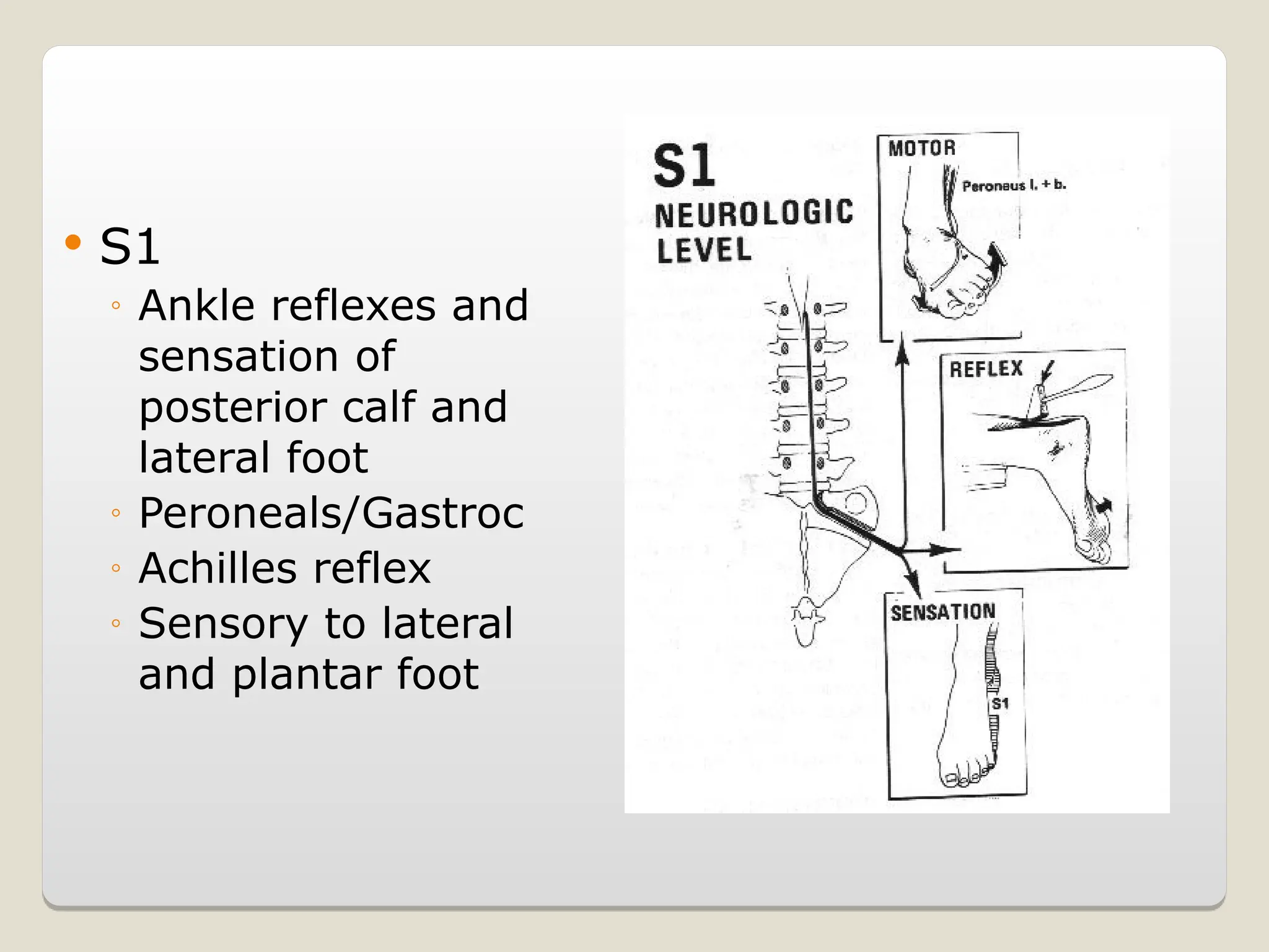 Lumbar disc herniation- a cause of disability .ppt