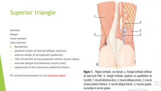 Lumbar Triangle Hernia