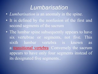 lumbarisation.pptx